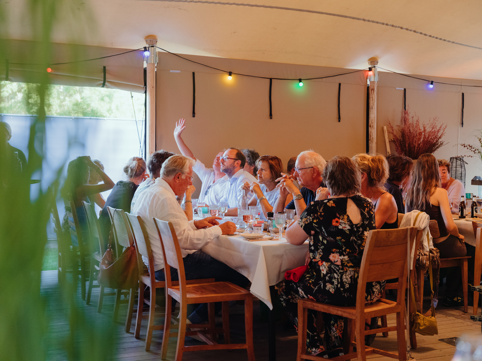 Kaarten - De revolutie van de Rinsema's