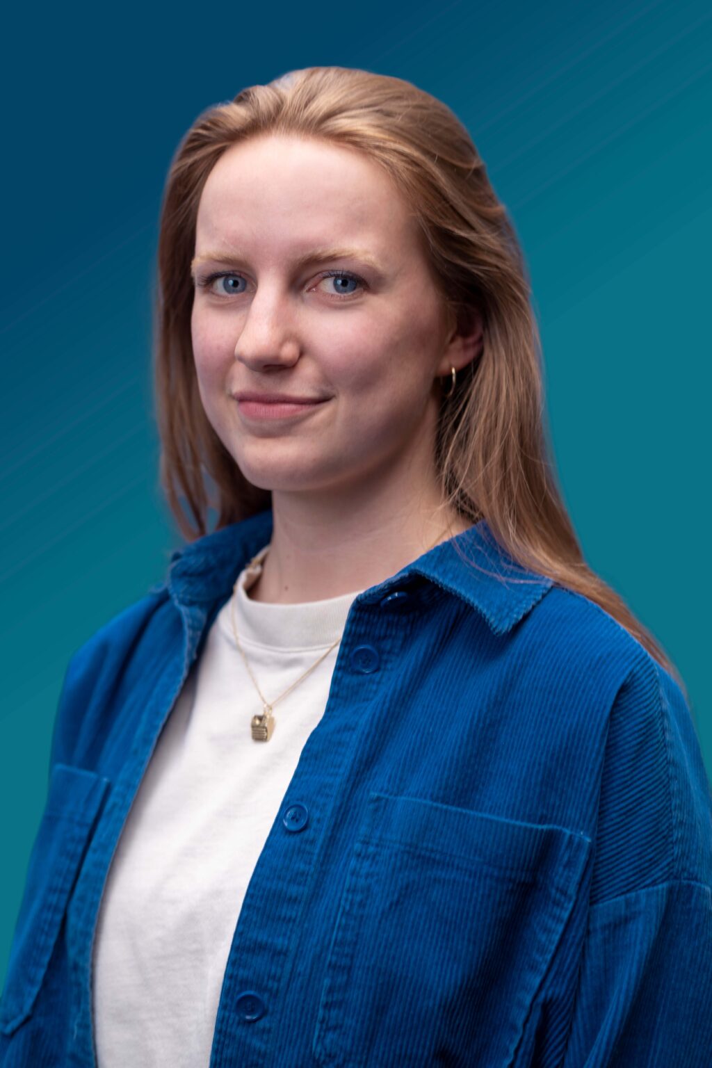 De voorstelling - De revolutie van de Rinsema's