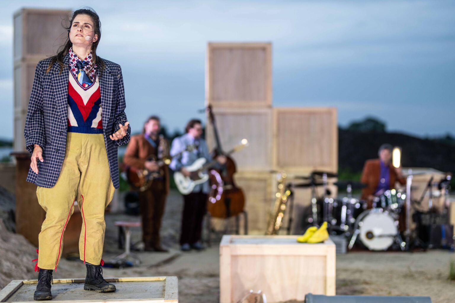 De voorstelling - De revolutie van de Rinsema's